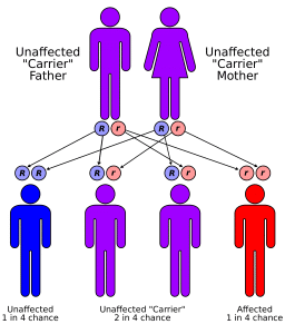 The Genealogy of Blue People – Ancestral Findings