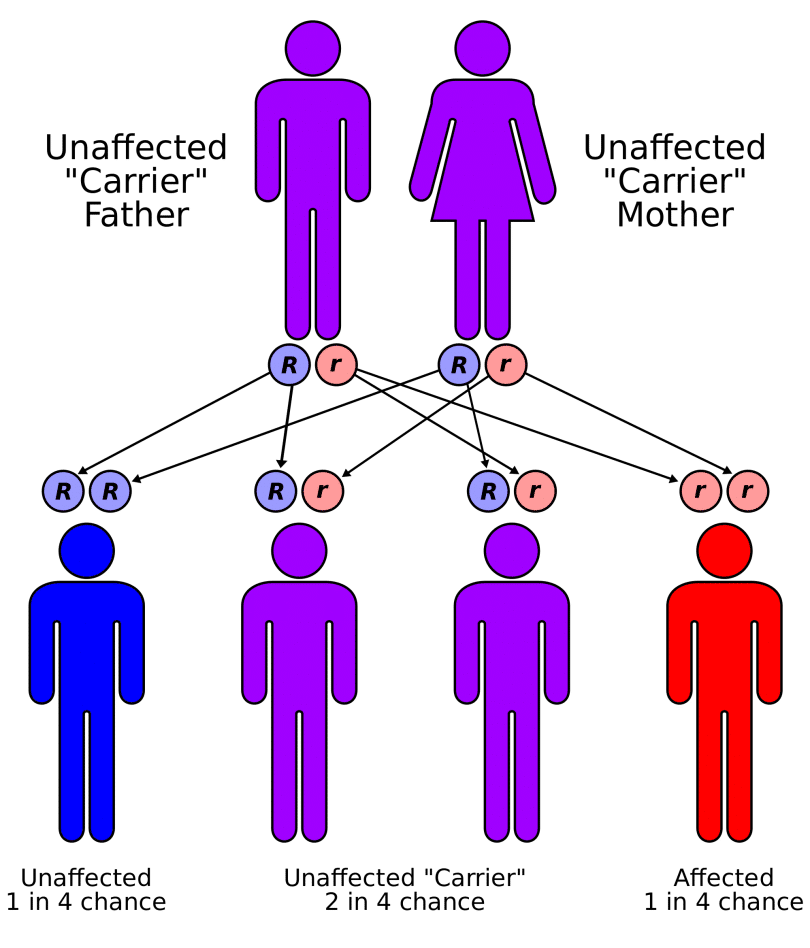 The Genealogy of Blue People