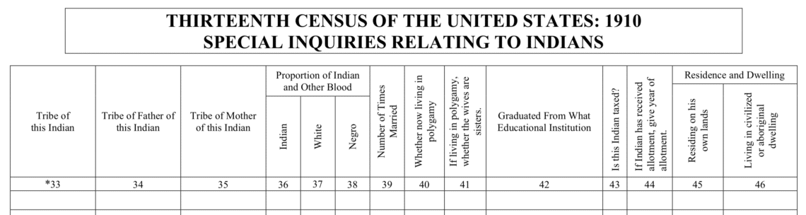 Exploring the 1910 US Federal Census