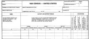 Diving Deep into the 1920 Census