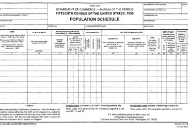 Inside the 1900 Census | Ancestral Findings