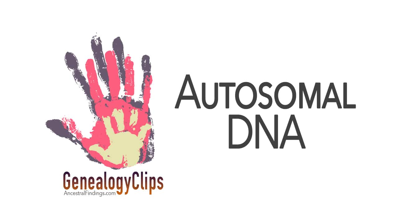 What is Autosomal DNA? | Ancestral Findings