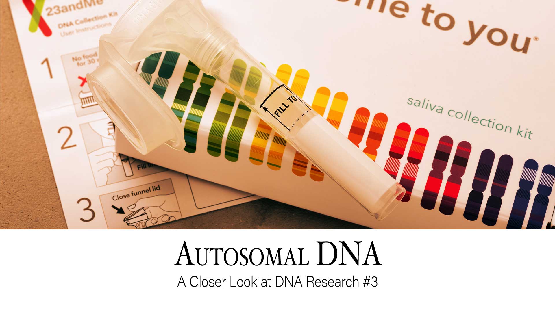 Autosomal DNA: A Closer Look at DNA Research #3 | Ancestral Findings