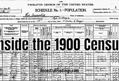An In-Depth Look at the 1870 US Federal Census | Ancestral Findings
