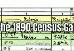 Inside the 1850 Census | Ancestral Findings