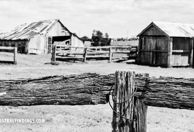 Early Convict Records and Their Impact on Australian Ancestry ...